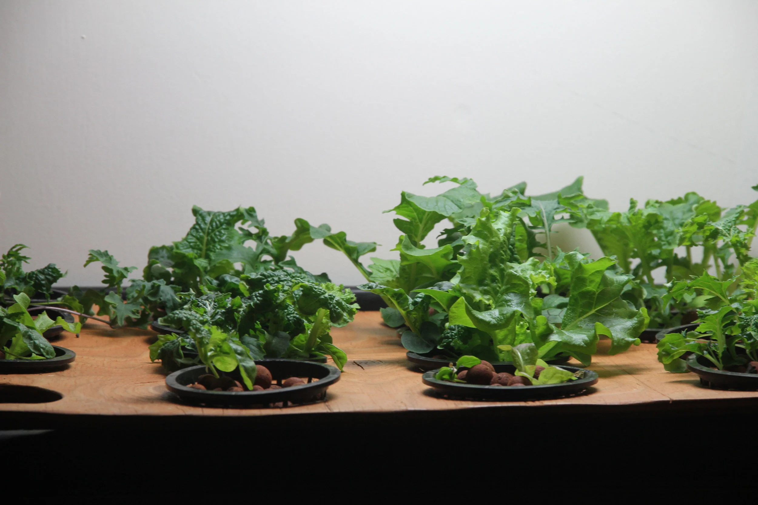 Farm House — Benner Boswell