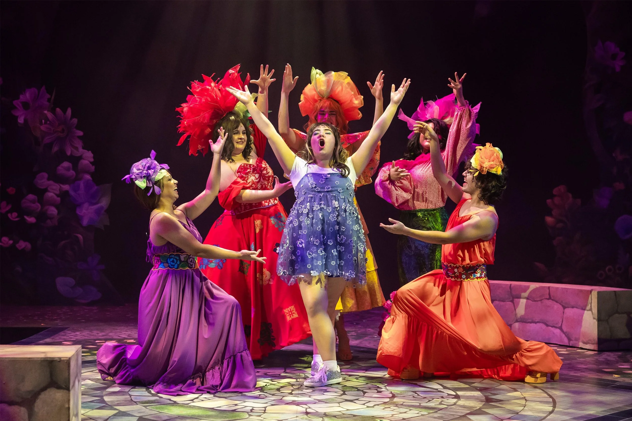 Panto Alicia in Wonderland — home