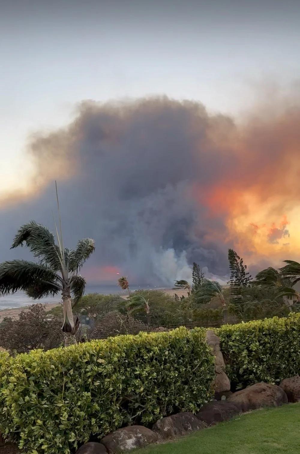 Earth, Wind and the Lahaina Fire — Karen Koehler