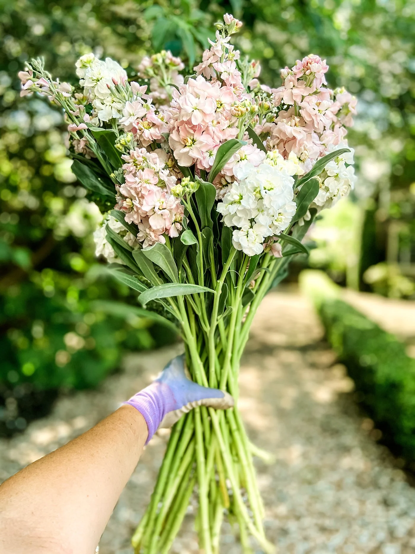 Pine Creek Farms & Nursery