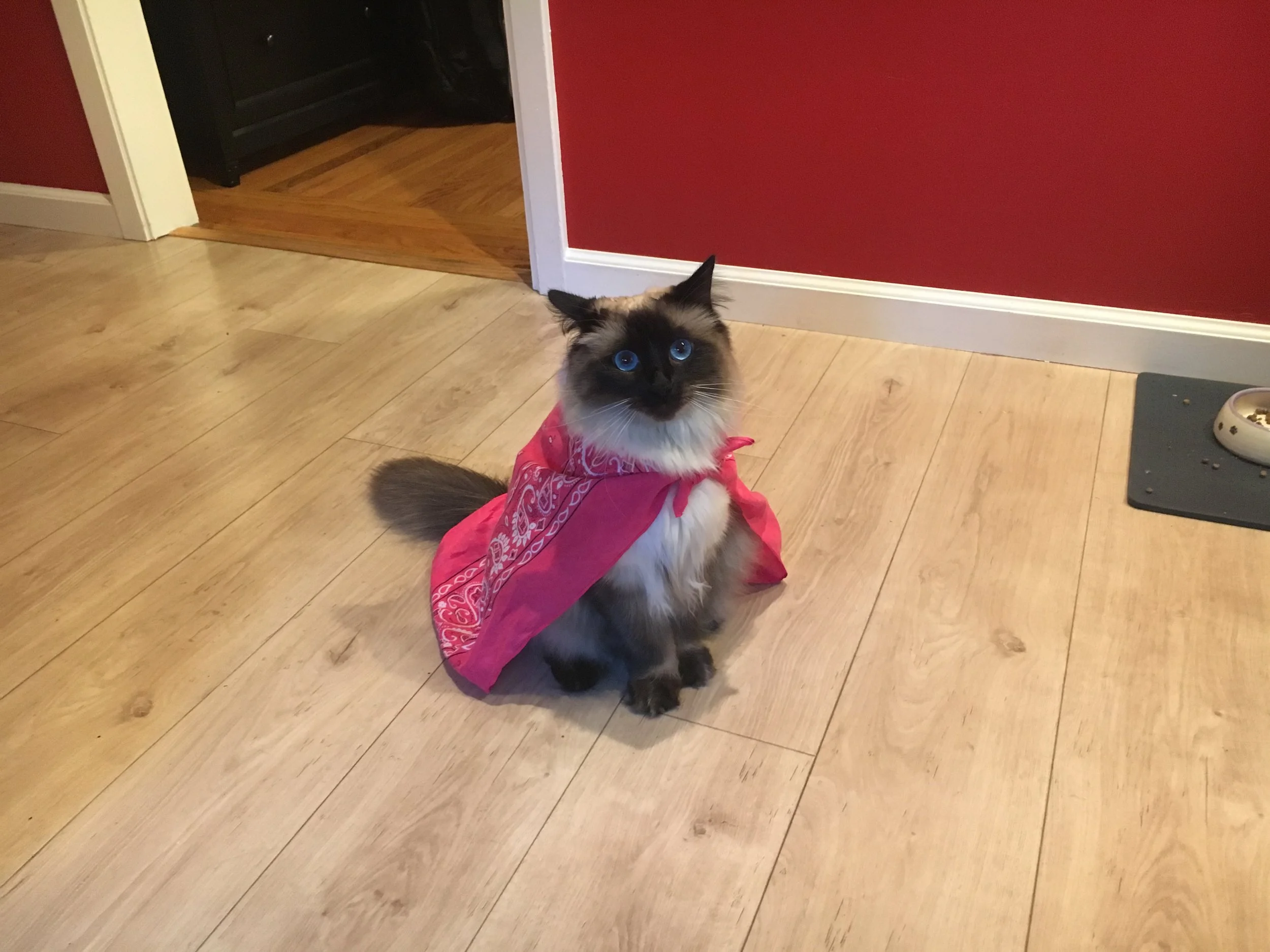 About — Matt Danzig