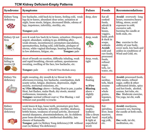 World Tree Herbals® — Herbal Blog | Inside The Tree House