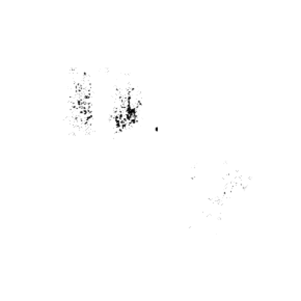 David Zipper
