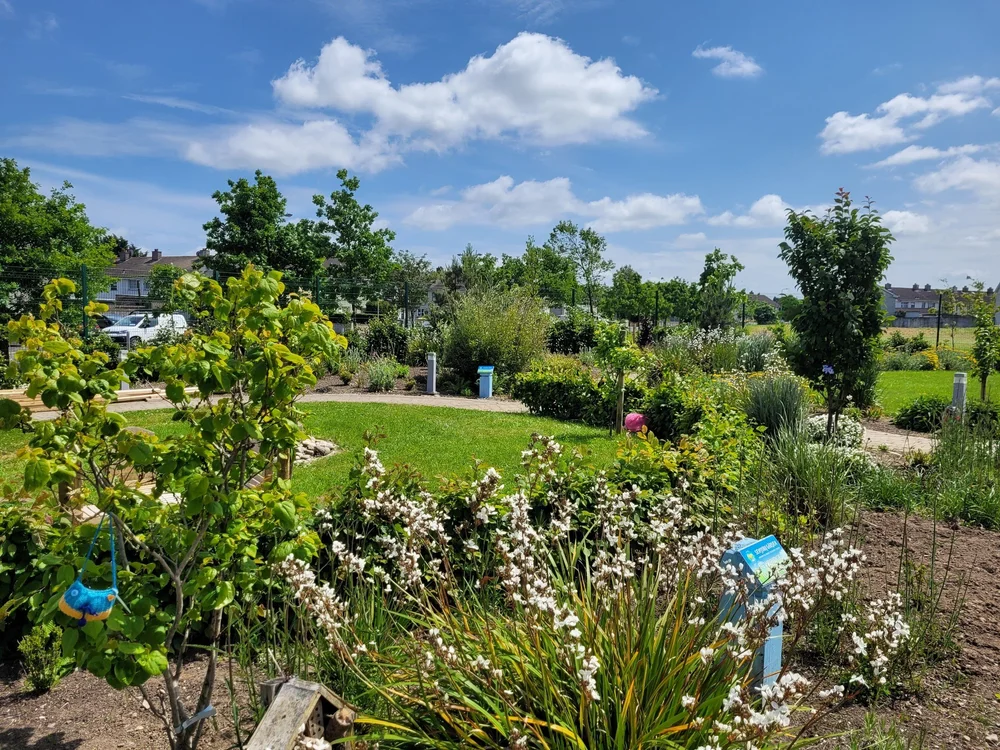 | Services | — Newbridge Family Resource Centre
