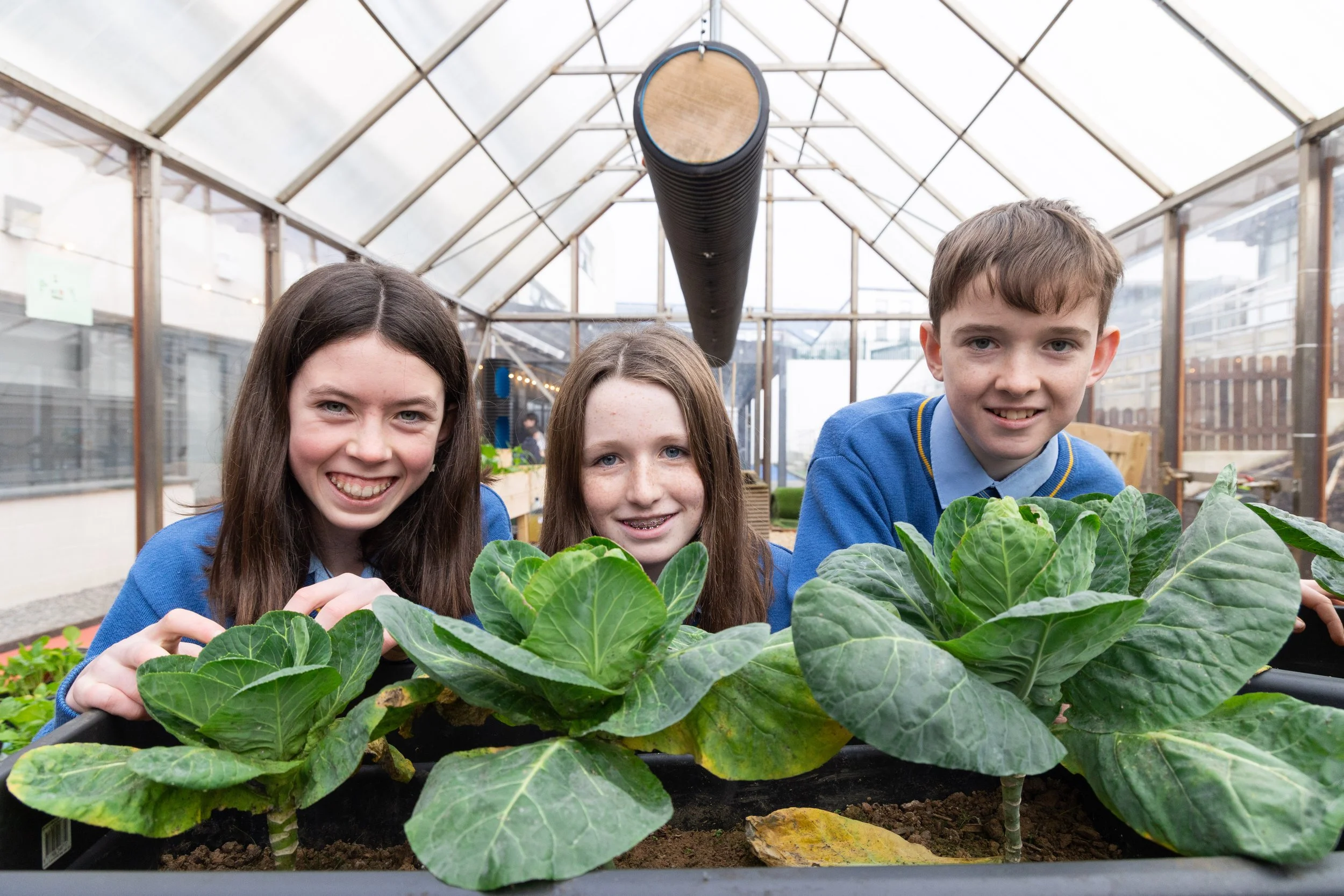 Cork County Mayor visits Climate Literacy Course in action at KCS — KCS ...