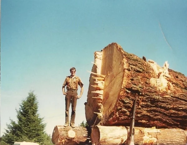 About — D&S Logging Contractors