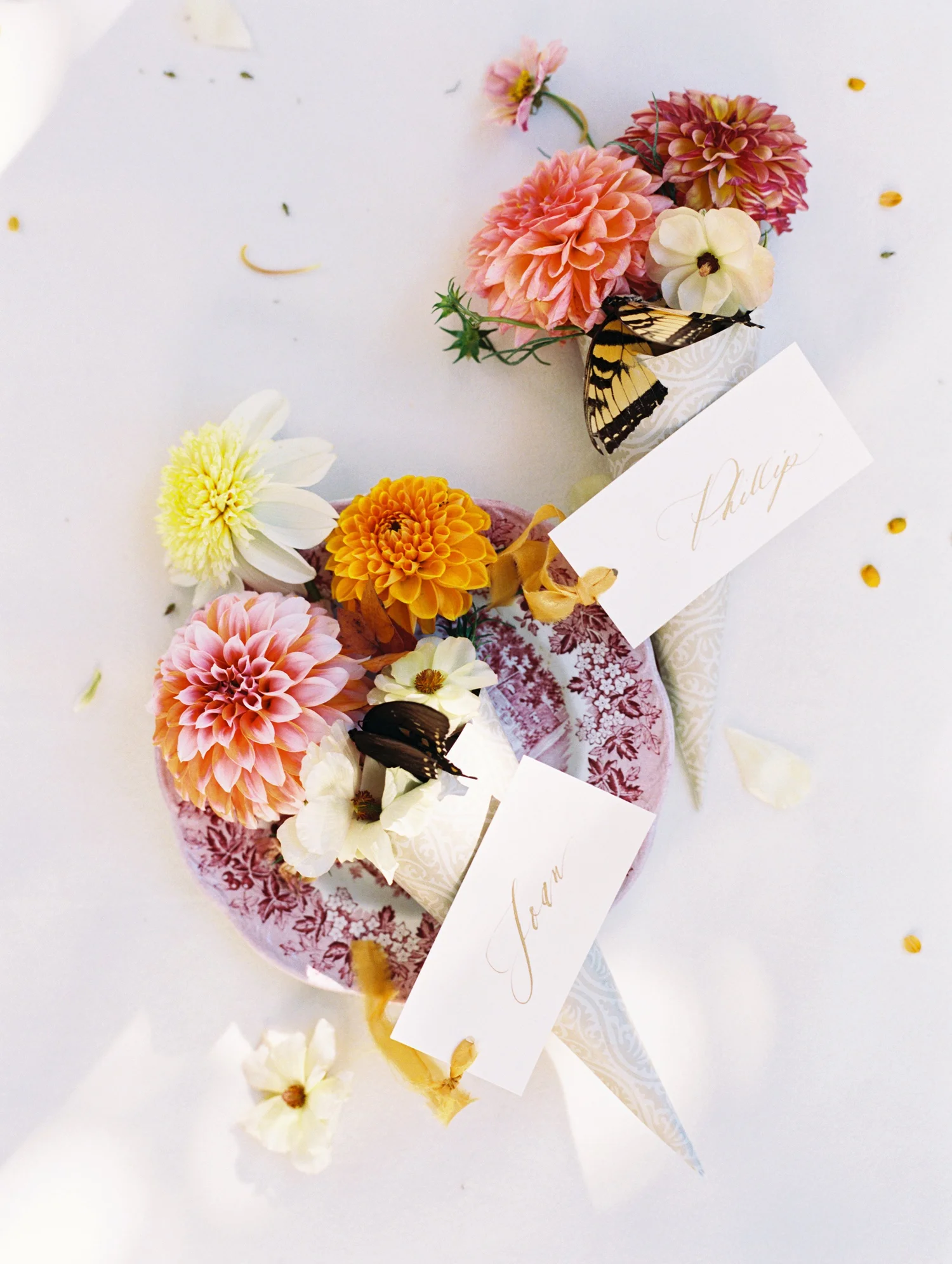 Hazel Dust Studio - Styling/Design/Studio Rental