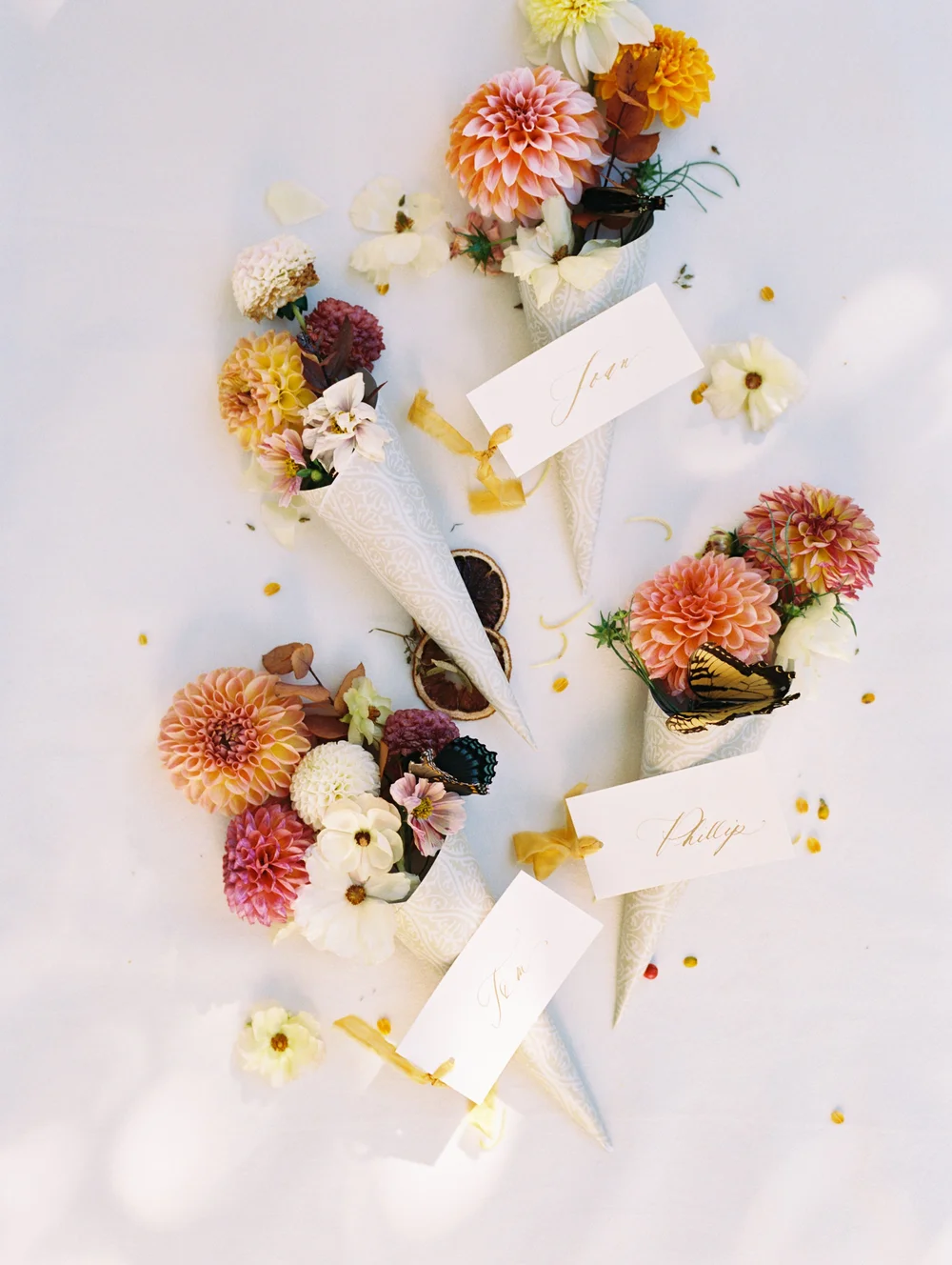 Hazel Dust Studio - Styling/Design/Studio Rental