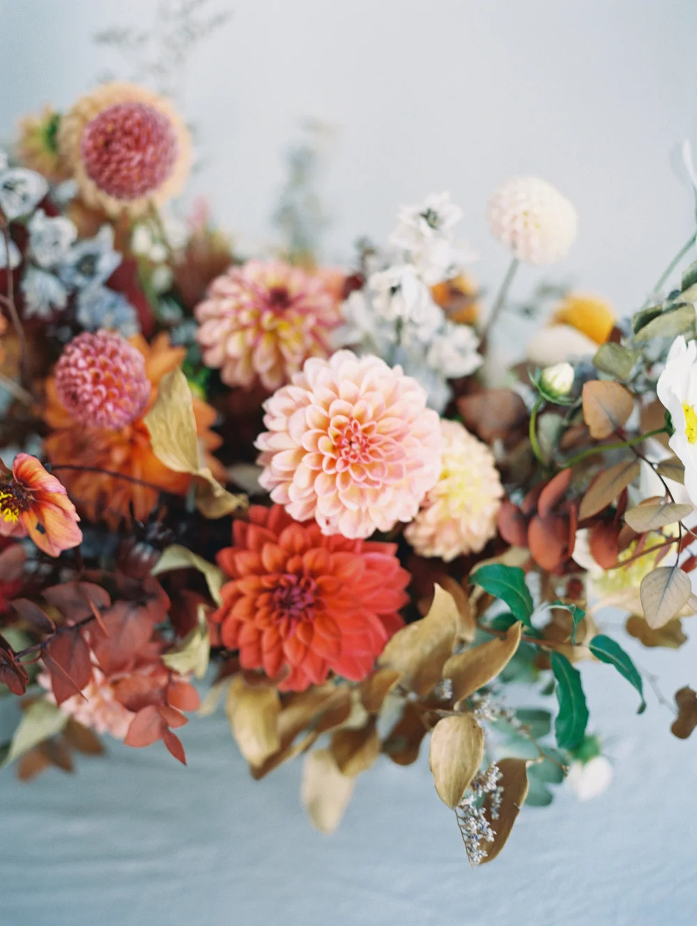 Hazel Dust Studio - Styling/Design/Studio Rental