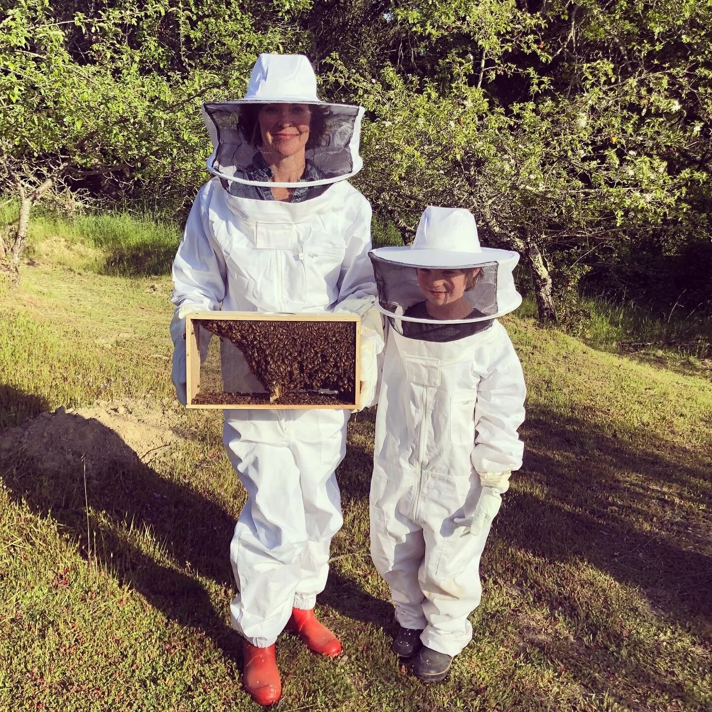 News — A&A Apple Farm