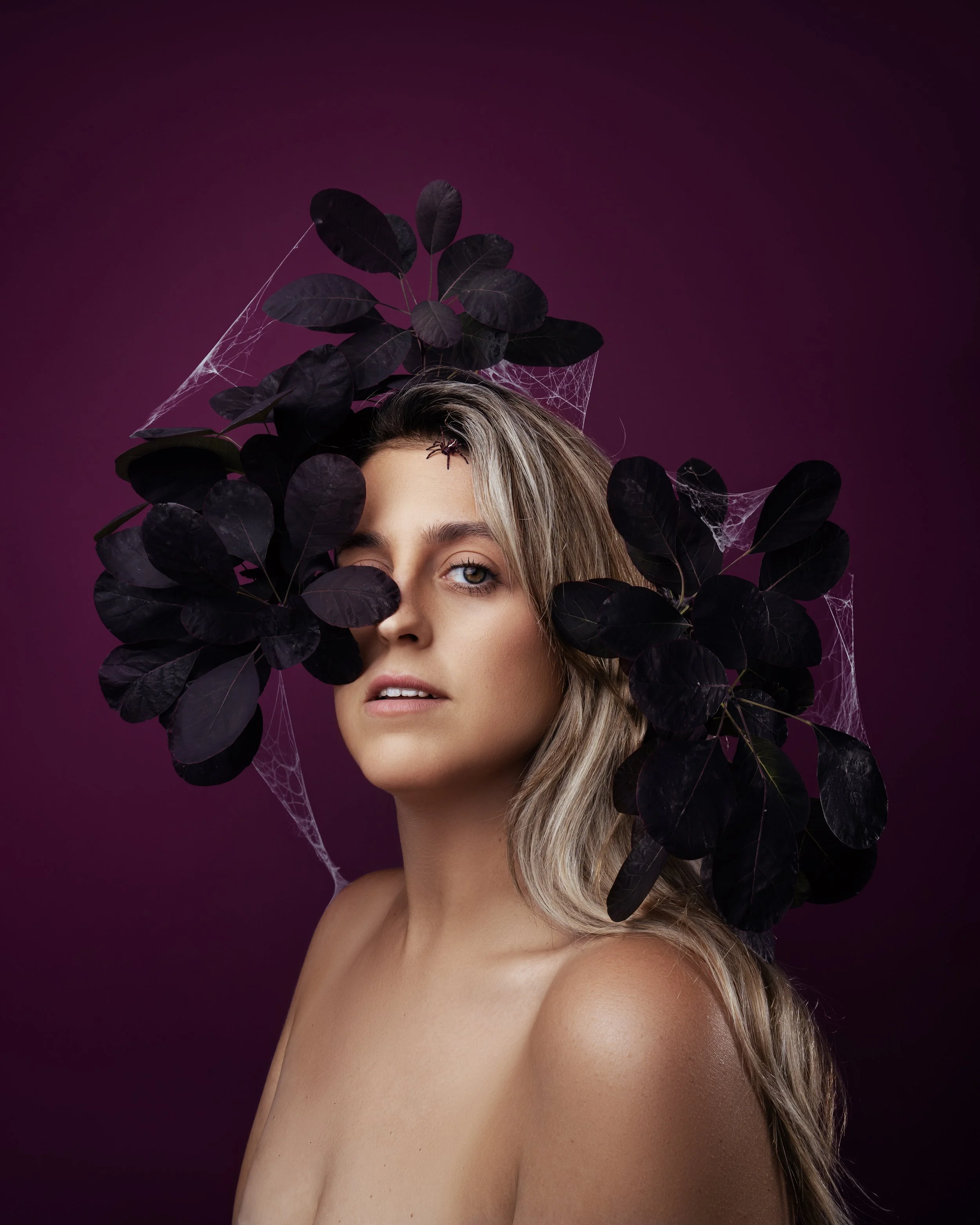 Web, 2024 — Holly Rose Stones - Artist