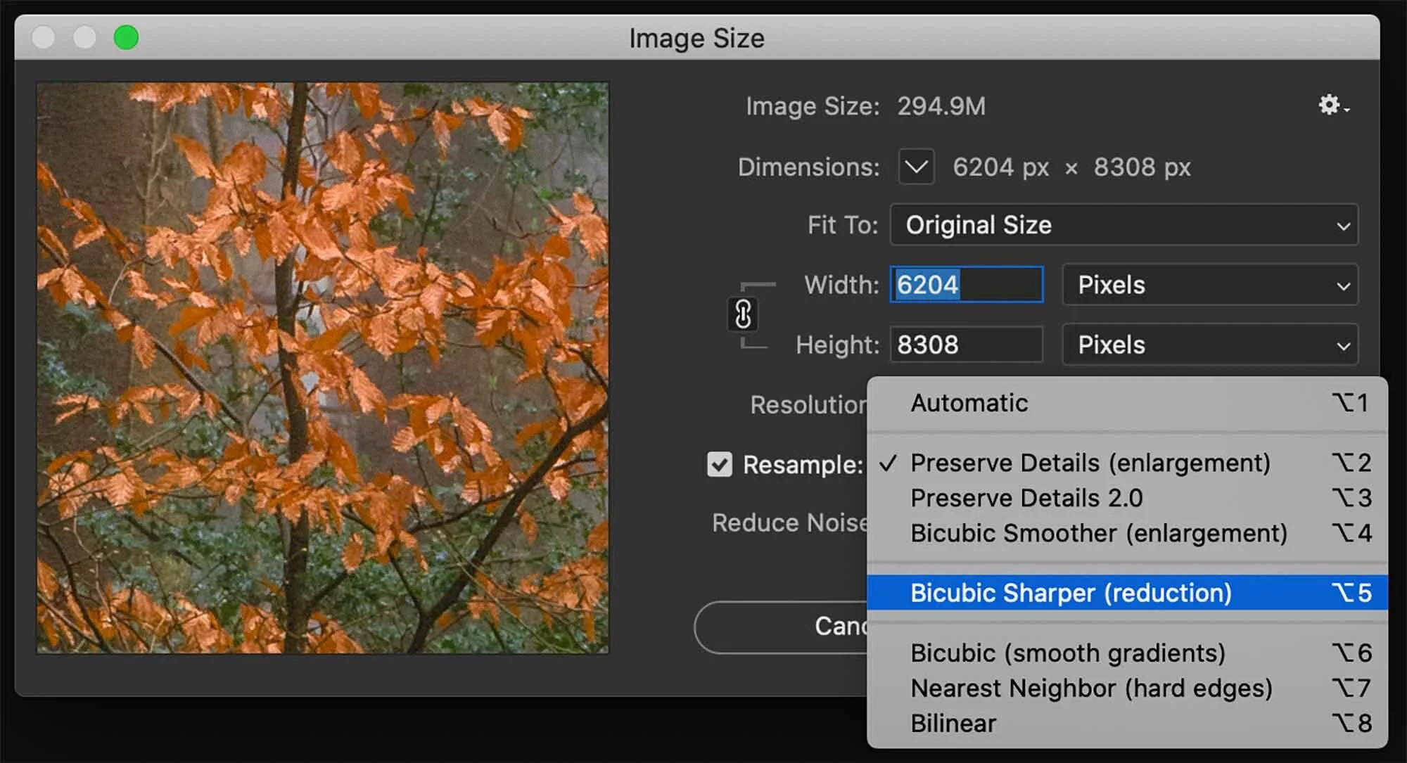 The BEST Image Settings for Facebook — Glyn Dewis