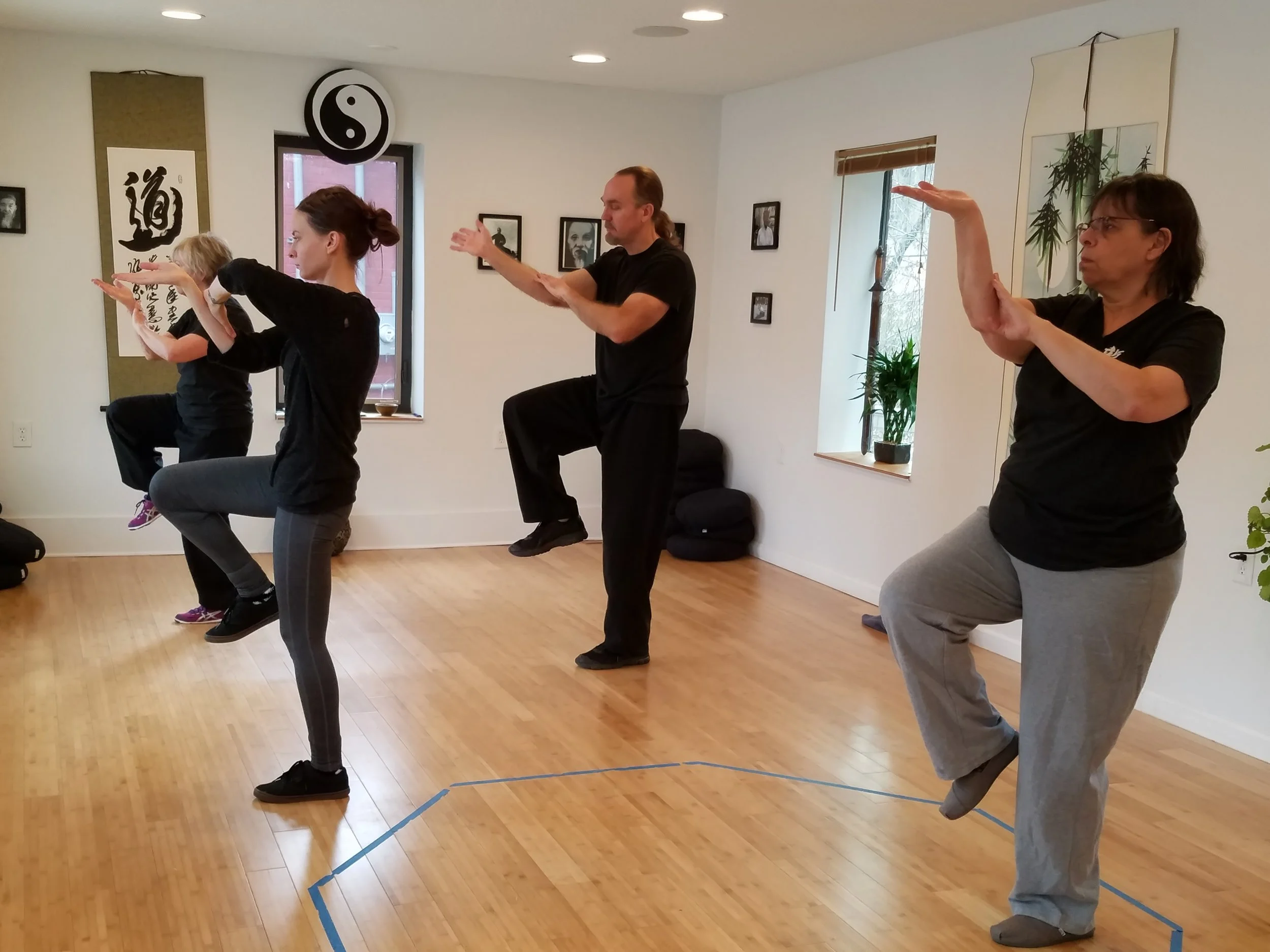 Adult Classes Dragon Phoenix adult-classes-dragon-phoenix