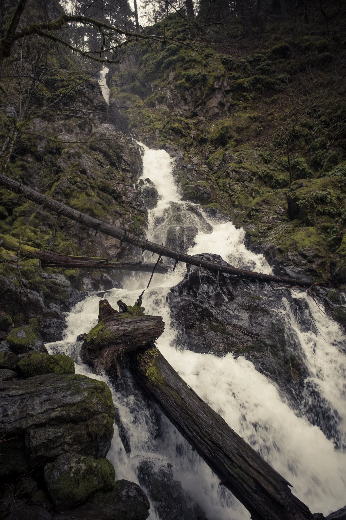 Hamilton Mountain and Rodney Falls Trail — Cowley Visuals