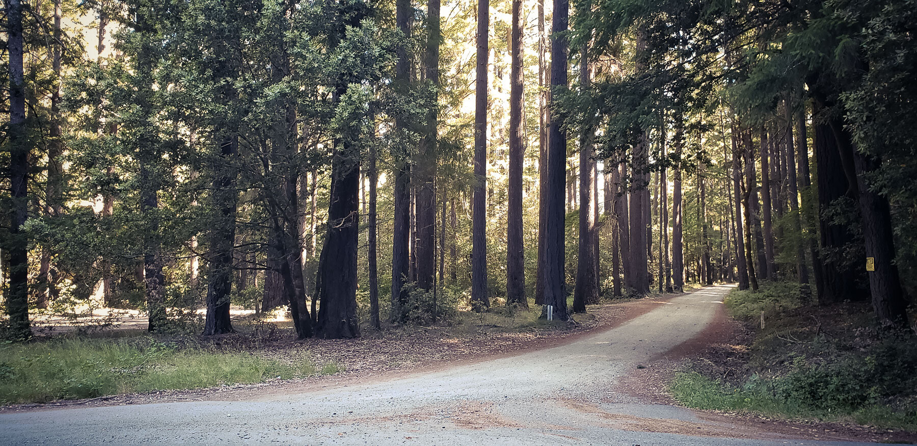 Six Rivers National Forest — Cowley Visuals