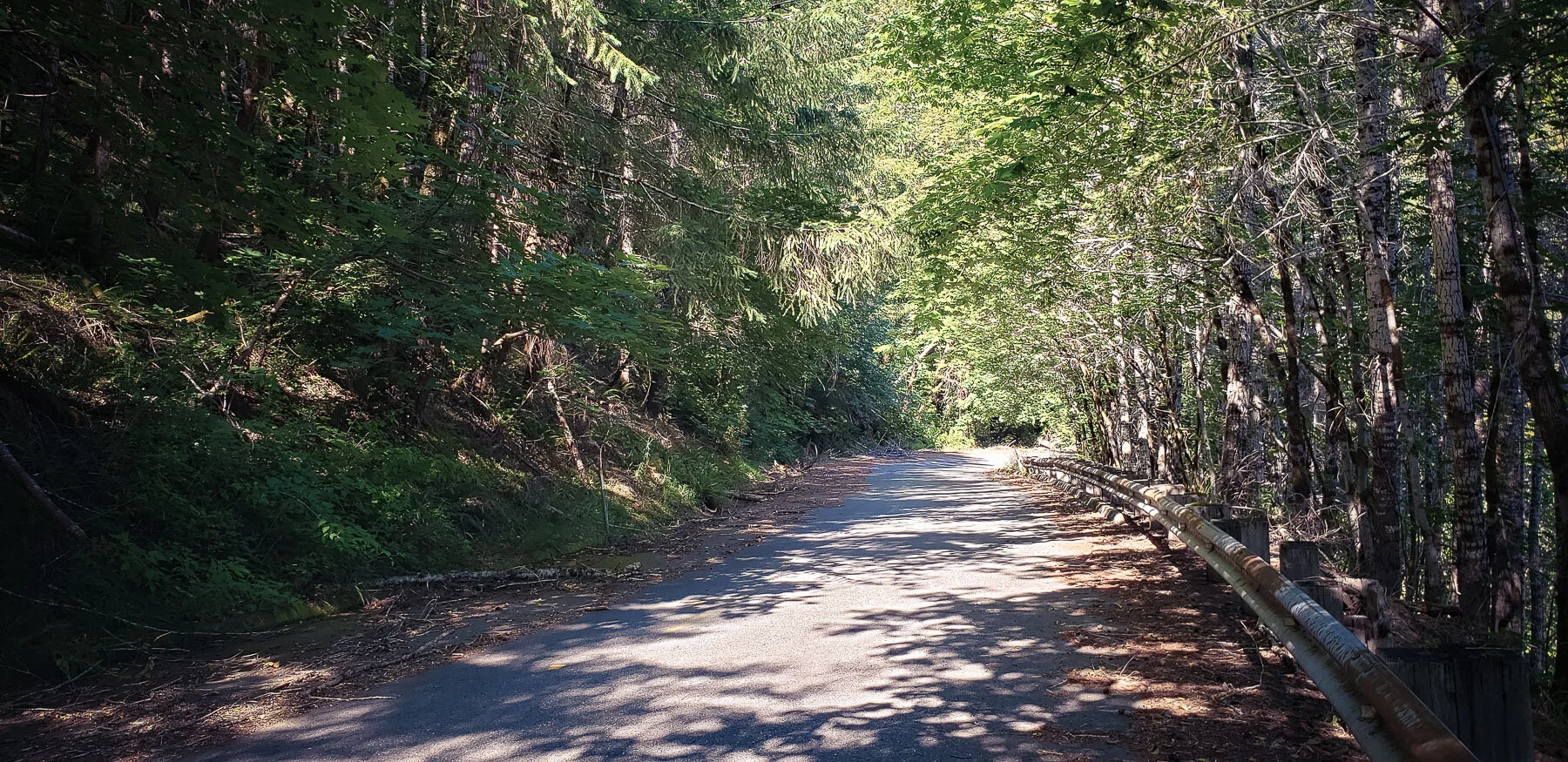 Six Rivers National Forest — Cowley Visuals