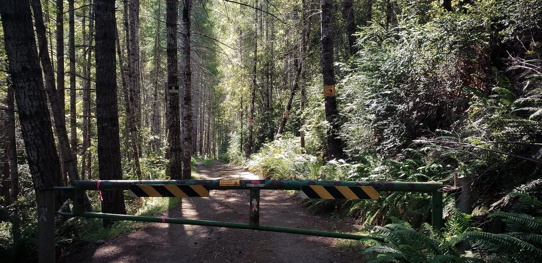 Six Rivers National Forest — Cowley Visuals