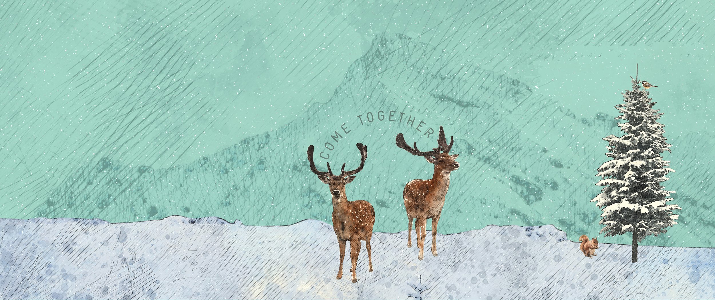 Banff Hospitality Collective