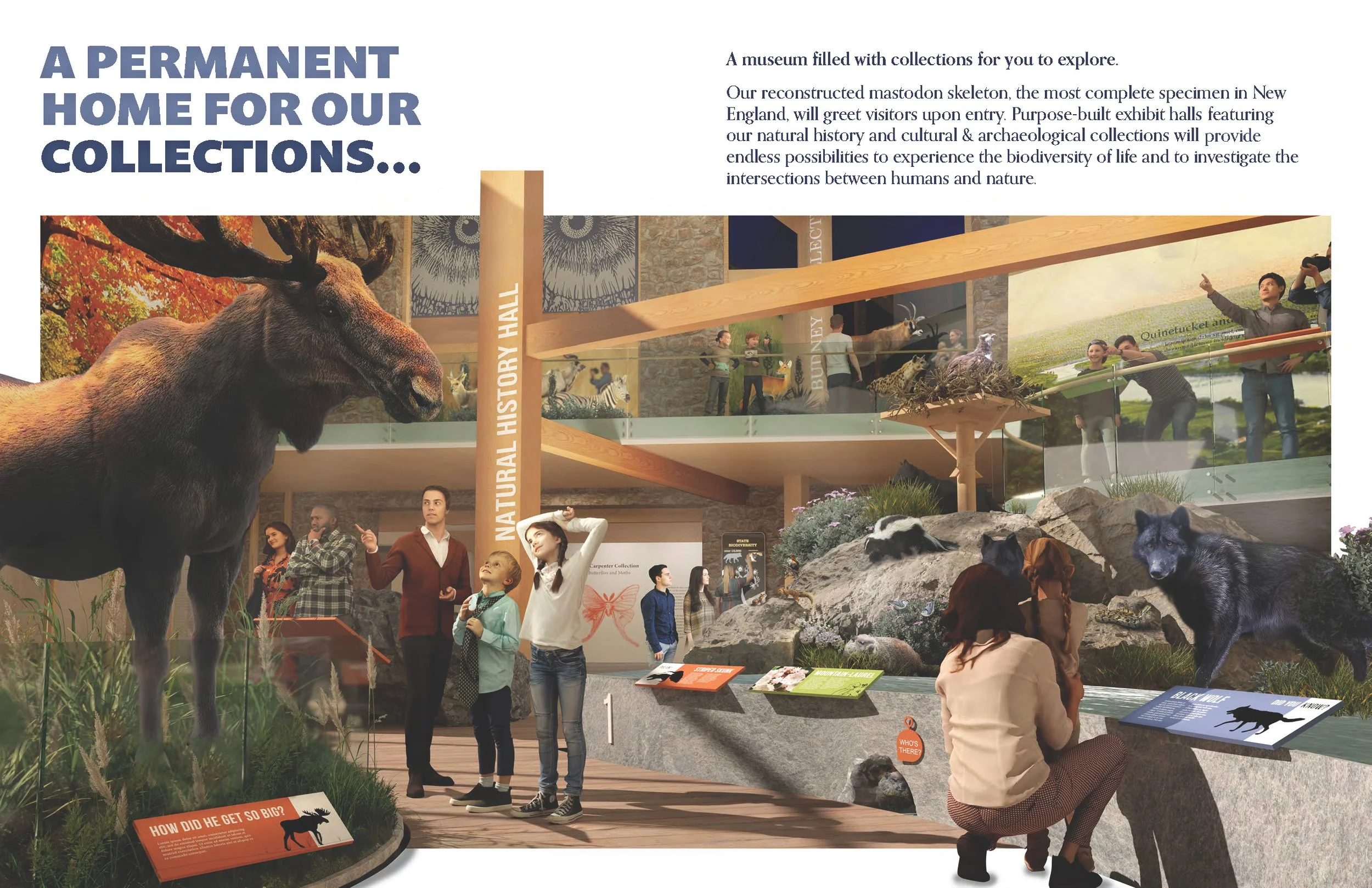 Connecticut State Museum of Natural History — WeatherstonBruer Associates