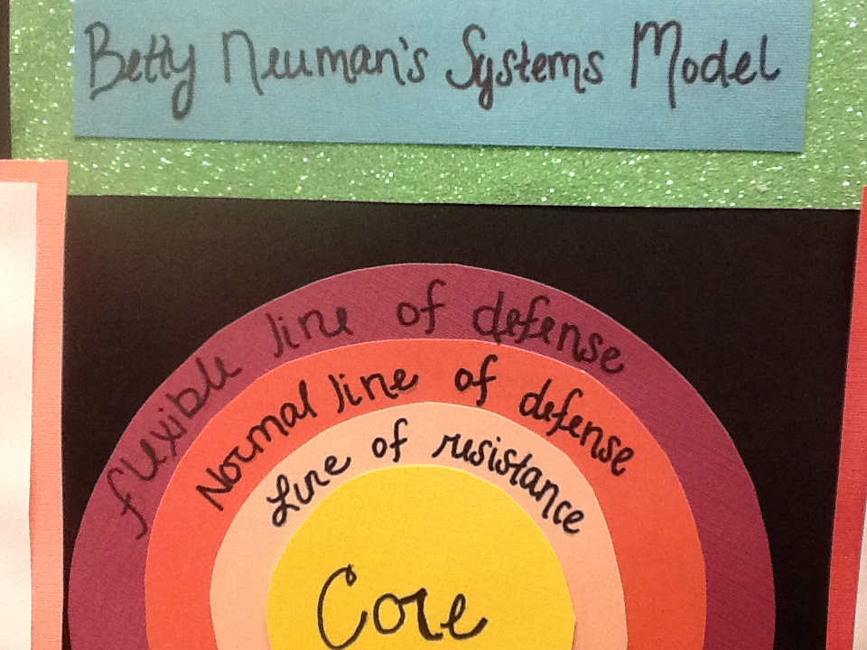Neuman Systems Model