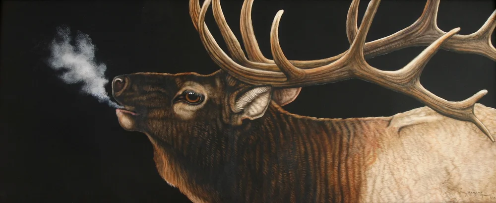 Bull Elk Paintings