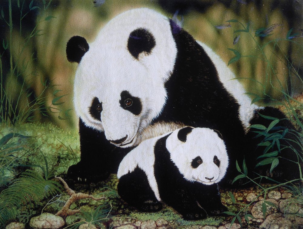 Baby Pandas Animals And Moms
