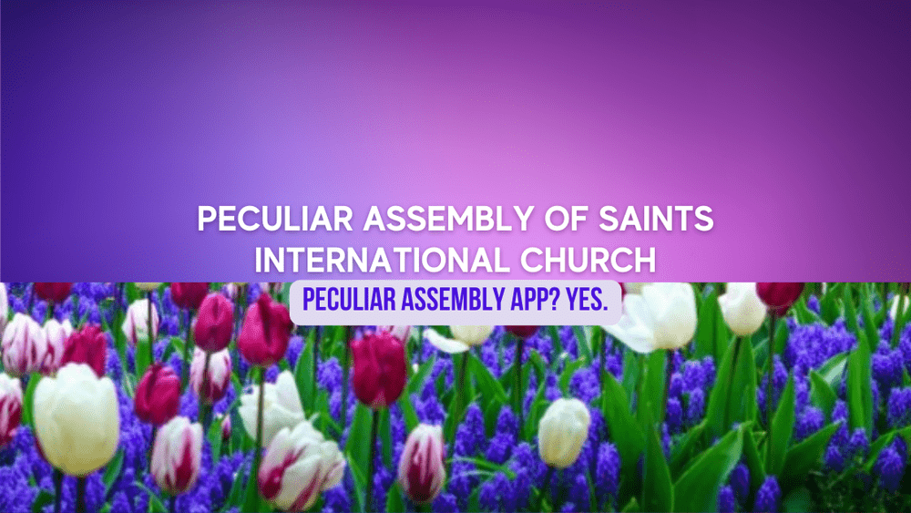 peculiar assembly of saints international church (home of miracles)