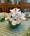 Palm Trees on a Summer Tablescape — Whispers of the Heart