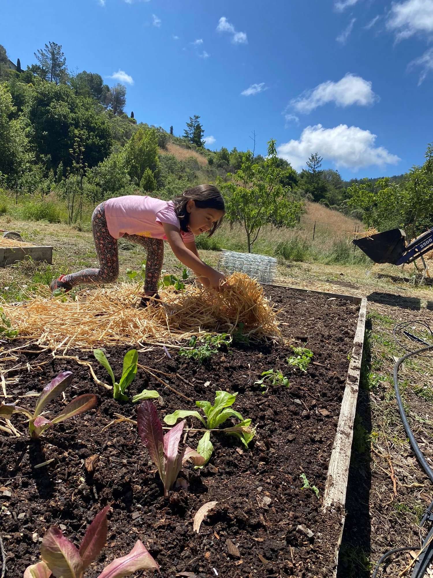 Garden — Rancho Compasión