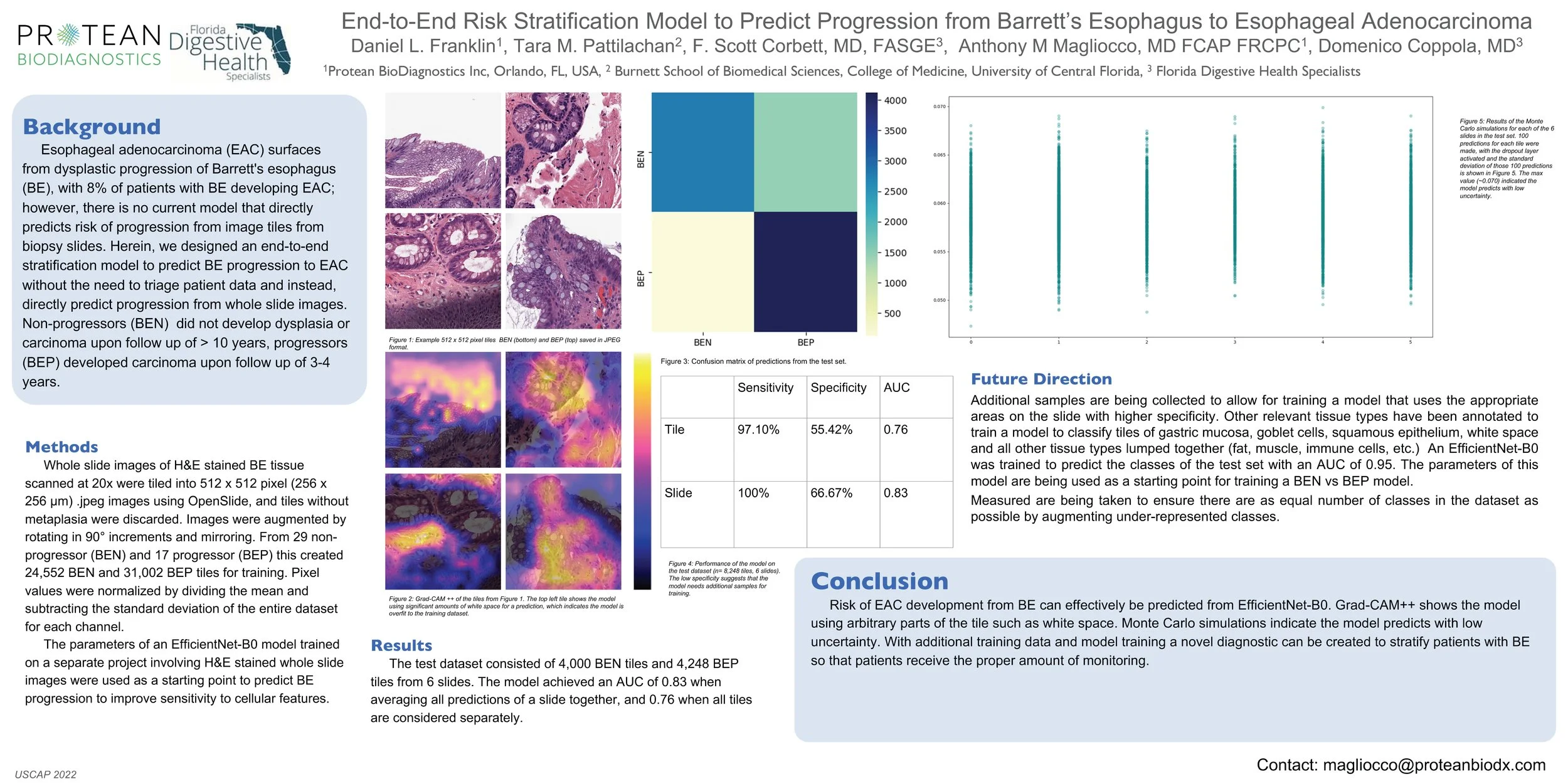 Protean Presents on the Use of Image Analysis for the Risk ...