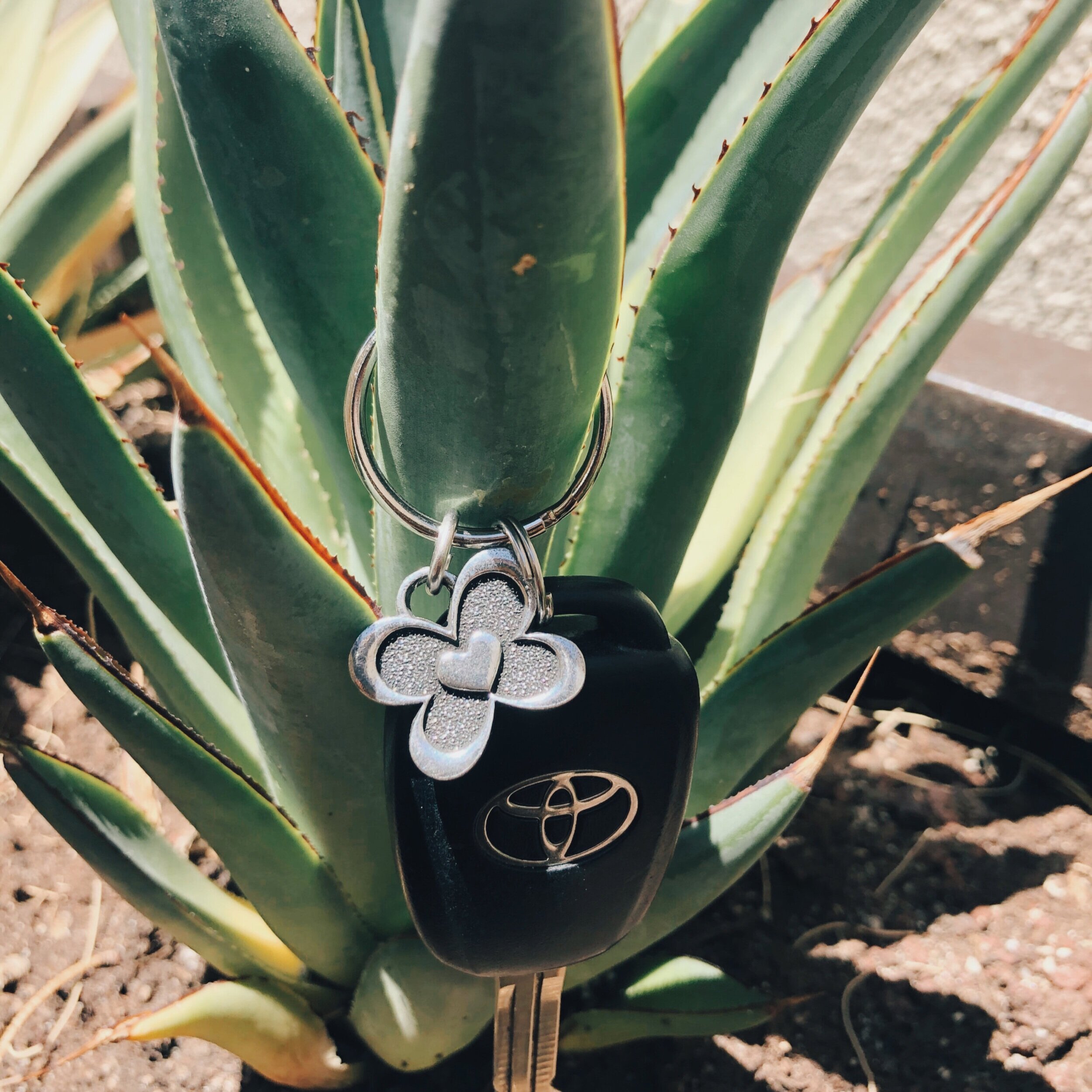 Shop — amandahope.org