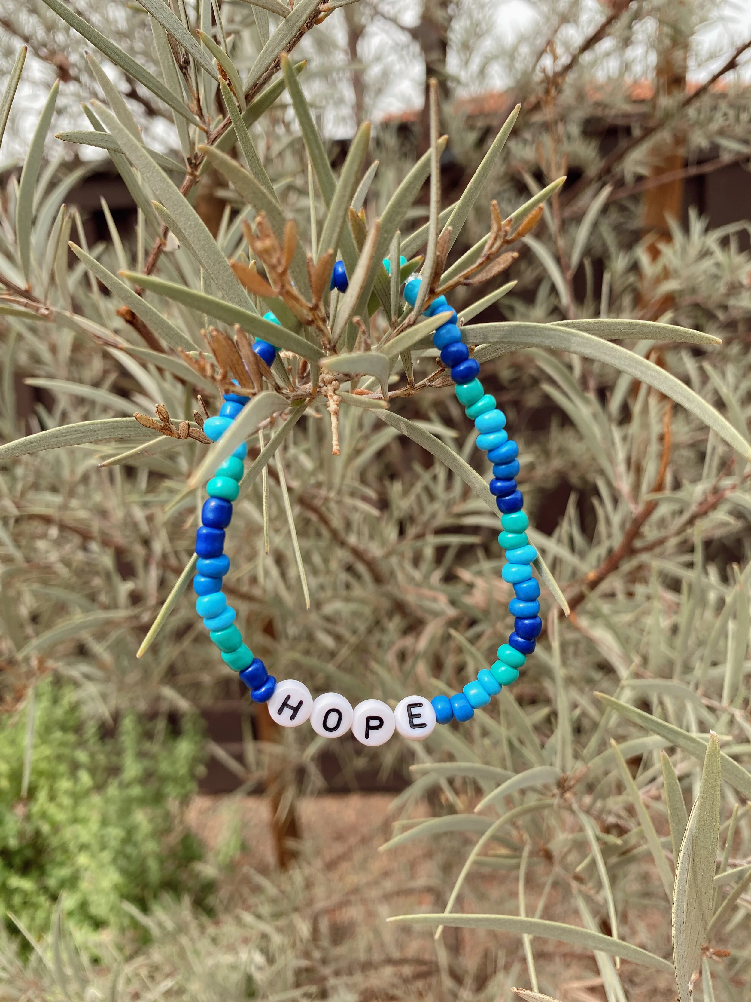 Shop — amandahope.org