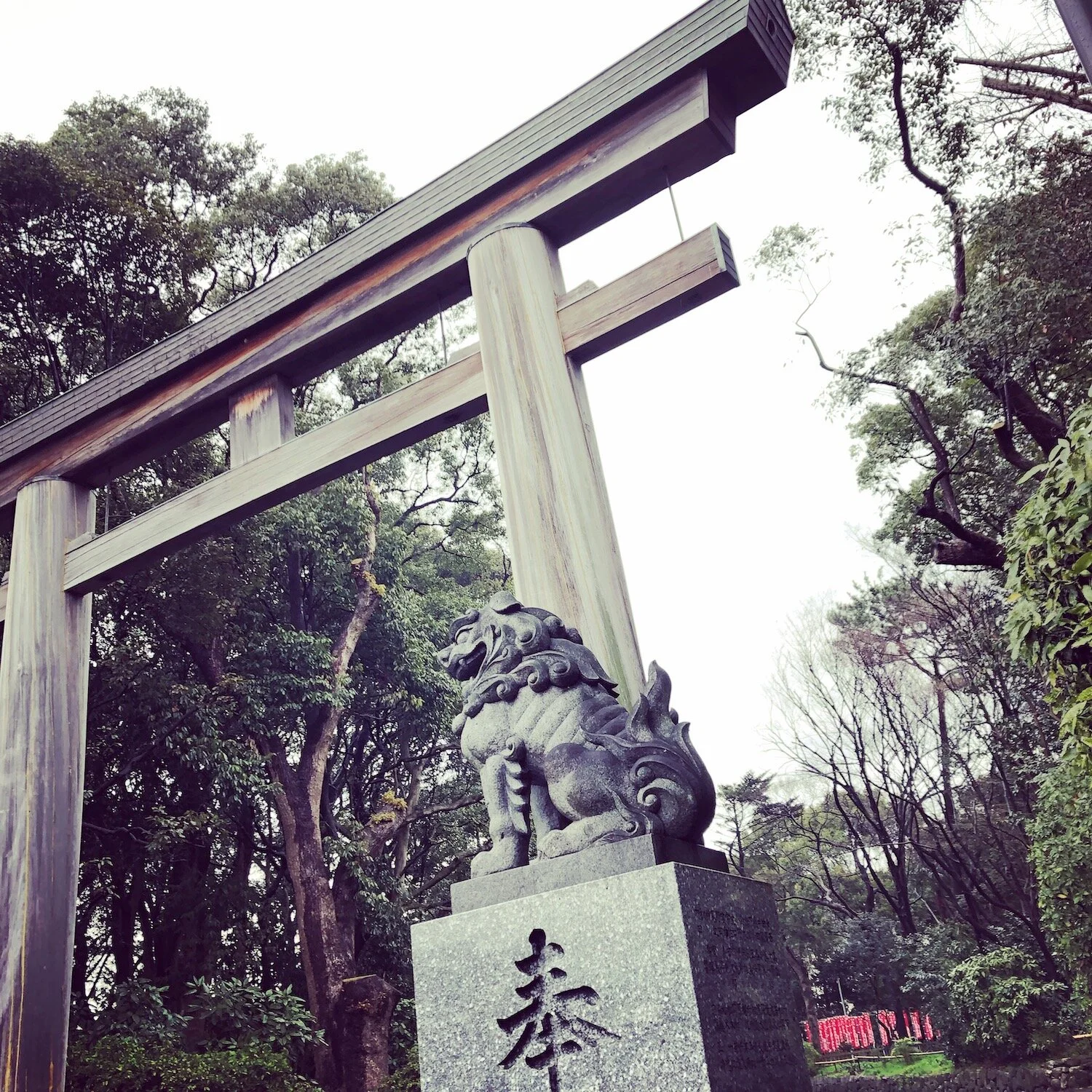 Post - Aonghas Crowe