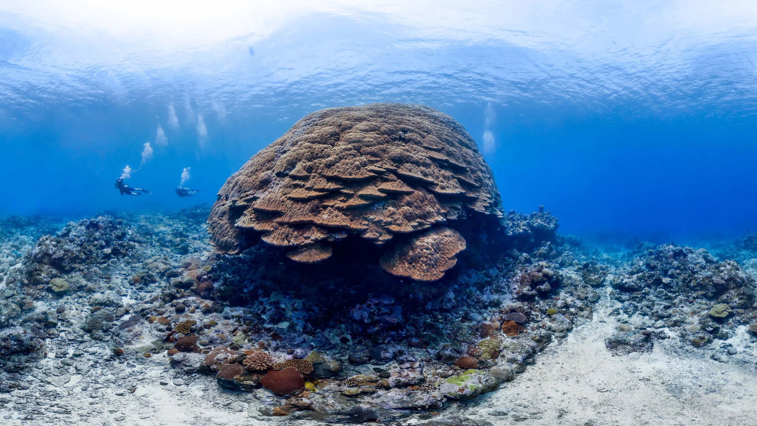 OOSOOM — Underwater Earth