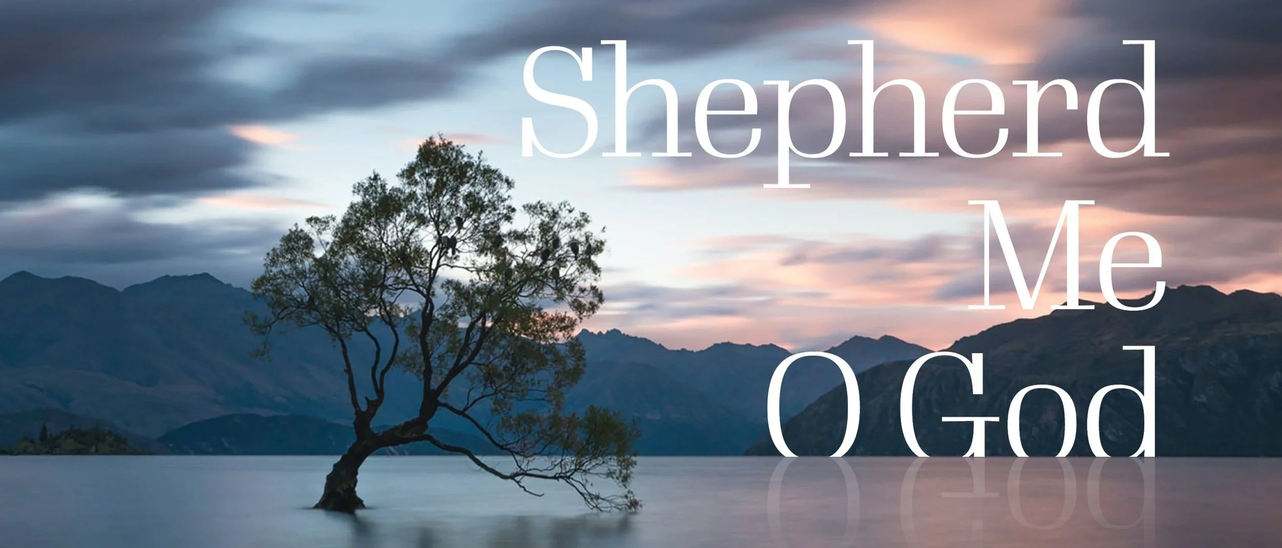Lenten Devotion - The Lord is My Shepherd — Church Anew