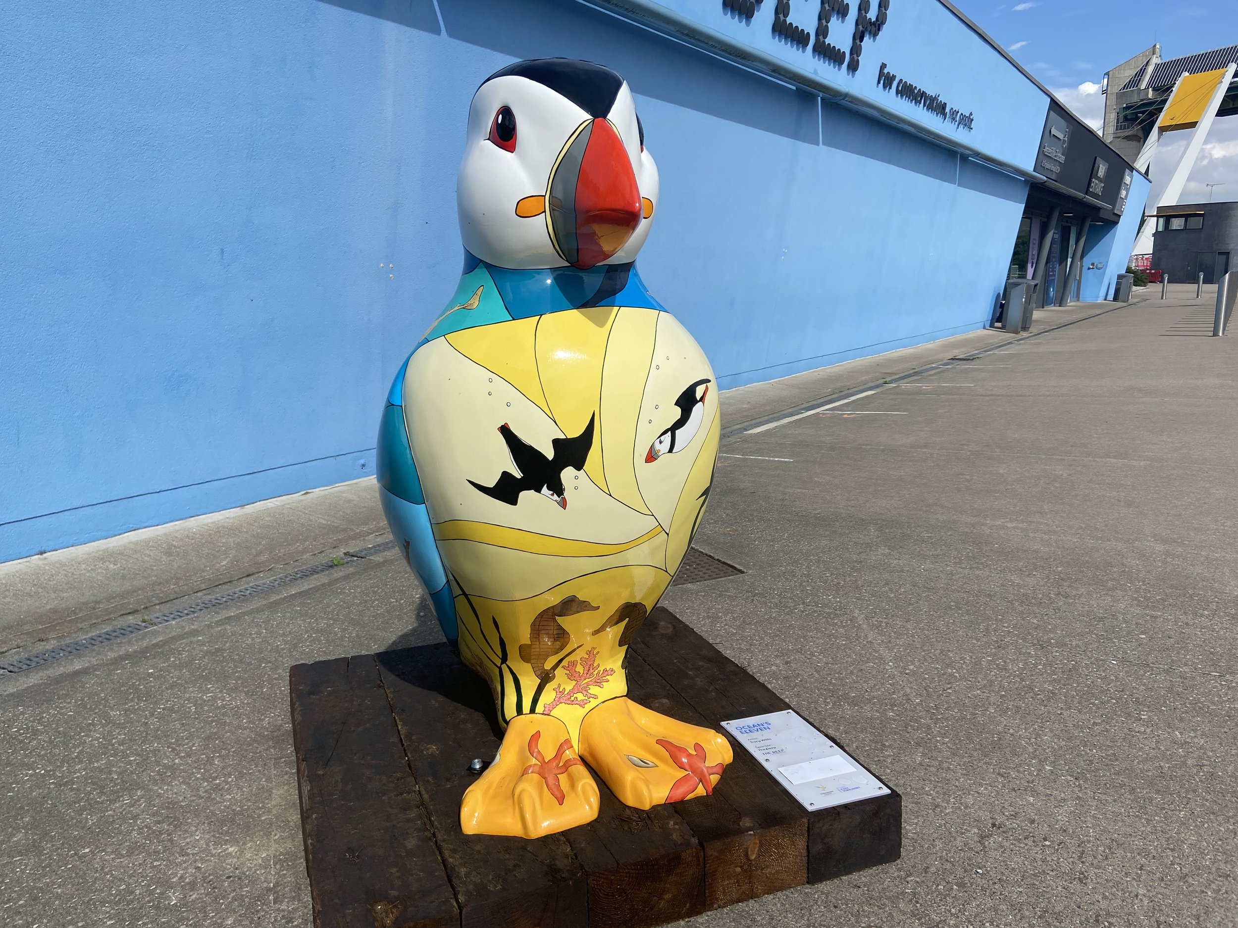 News Story - Puffin Trail — Hull Lagoon