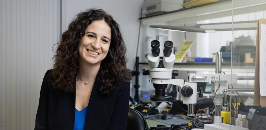 Cambridge recognised for its leadership in knowledge exchange — Welcome ...