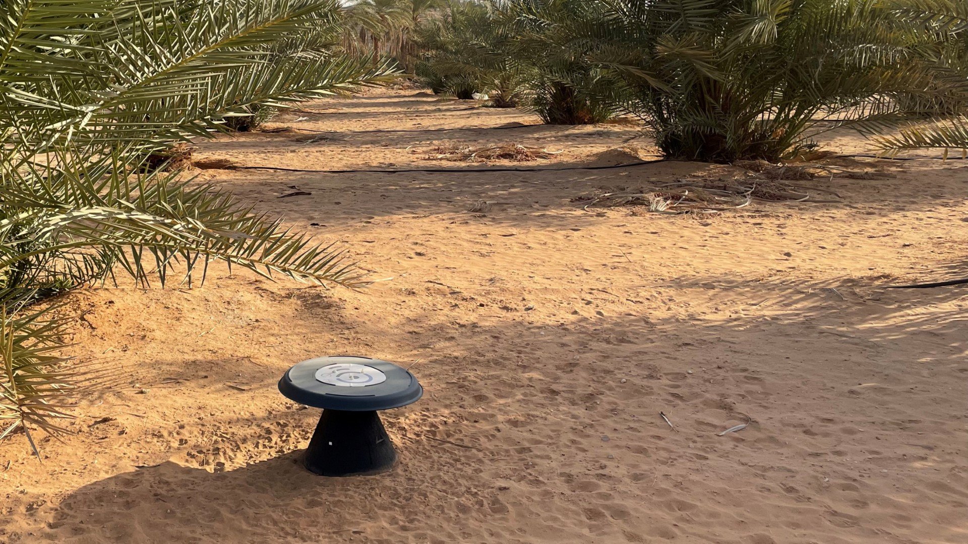 Engineering a Revolution in Pest Control: How Spotta Combines ...