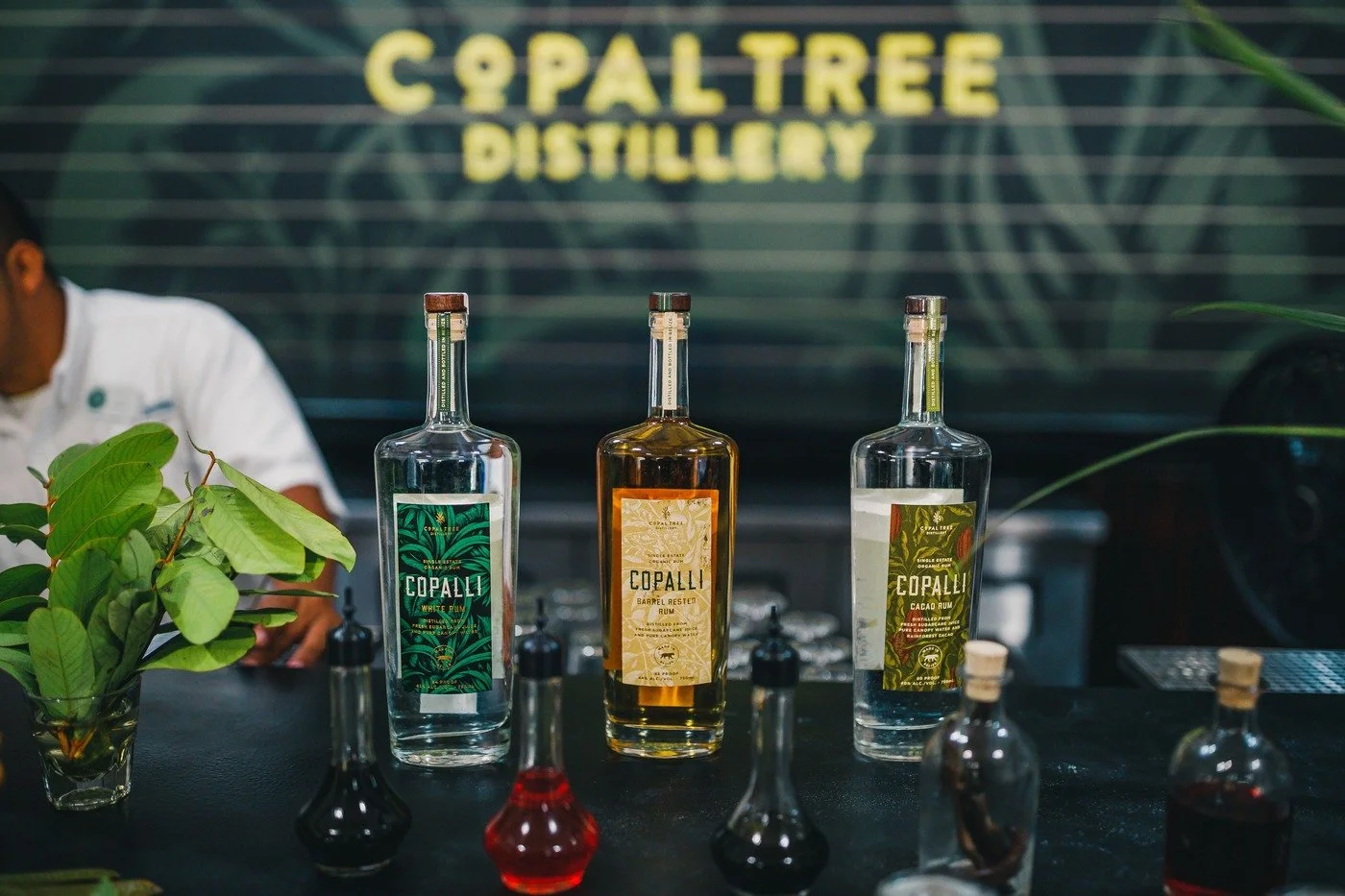 Pre-Arrival Vacation Guide | Copal Tree Lodge