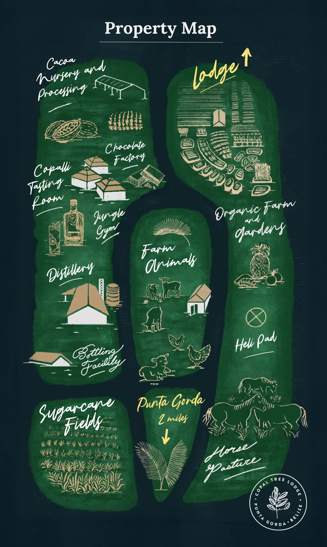 Copal Tree Farm | Copal Tree Lodge | Organic On-Site Farm