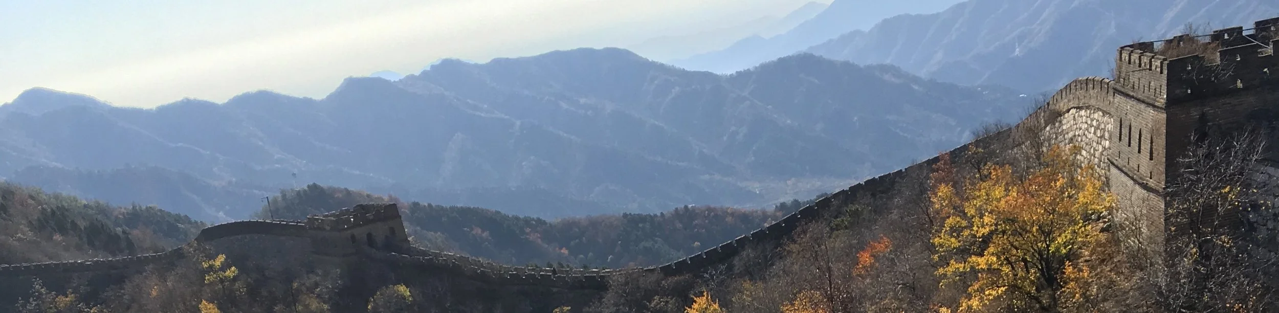 Work in Progress — Daniel Treisman