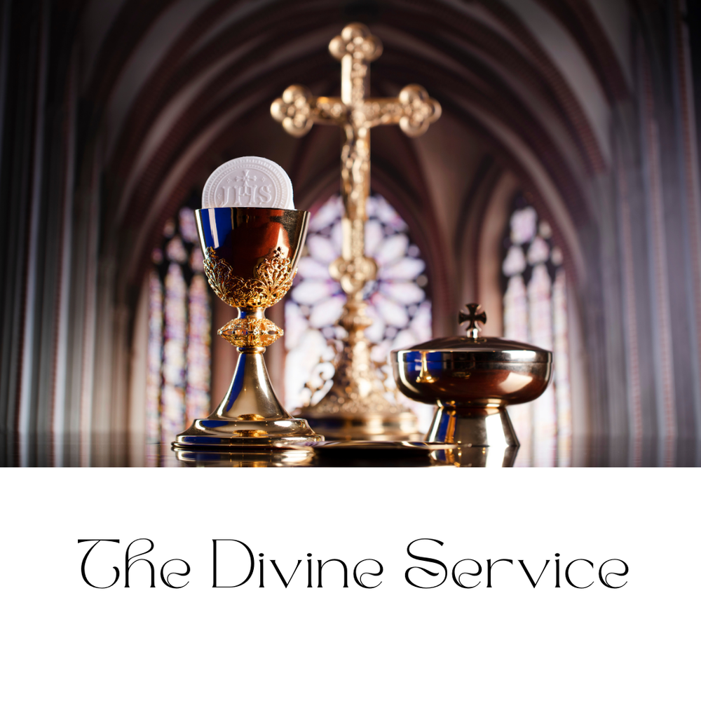 Bulletin — Saints Peter and Paul Evangelical Lutheran Church