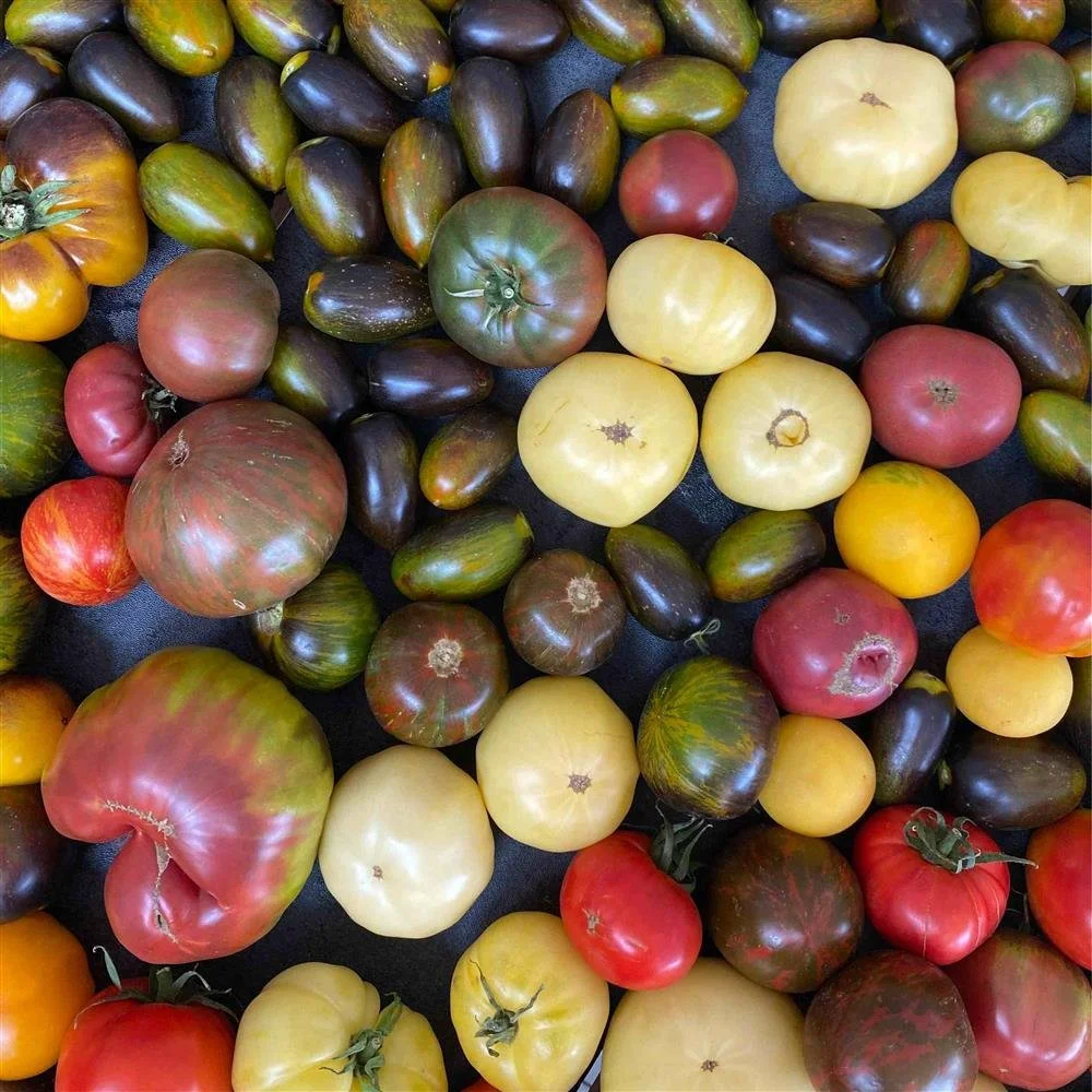 Fresh, locally grown food in Traverse City, MI. MI Farm Co-op Food Hub ...