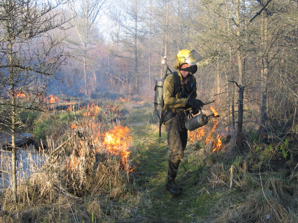 How Prescribed Fire Works — Michigan Prescribed Fire Council