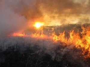 How Prescribed Fire Works — Michigan Prescribed Fire Council