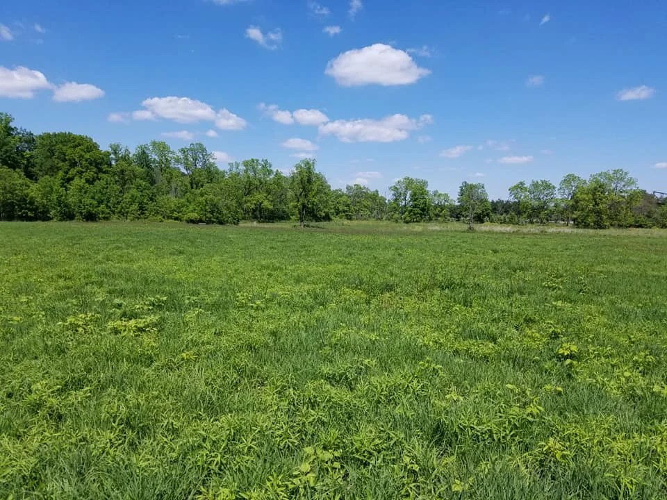 How Prescribed Fire Works — Michigan Prescribed Fire Council