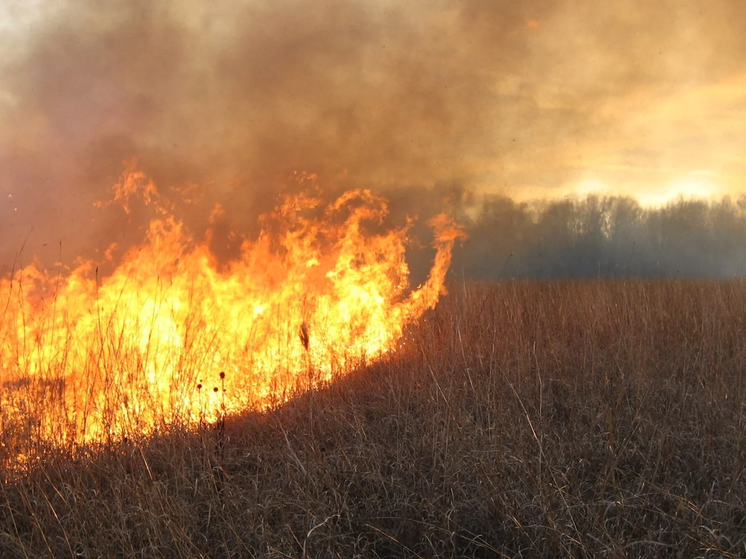 Michigan Prescribed Fire Council - Education | Outreach | Safety