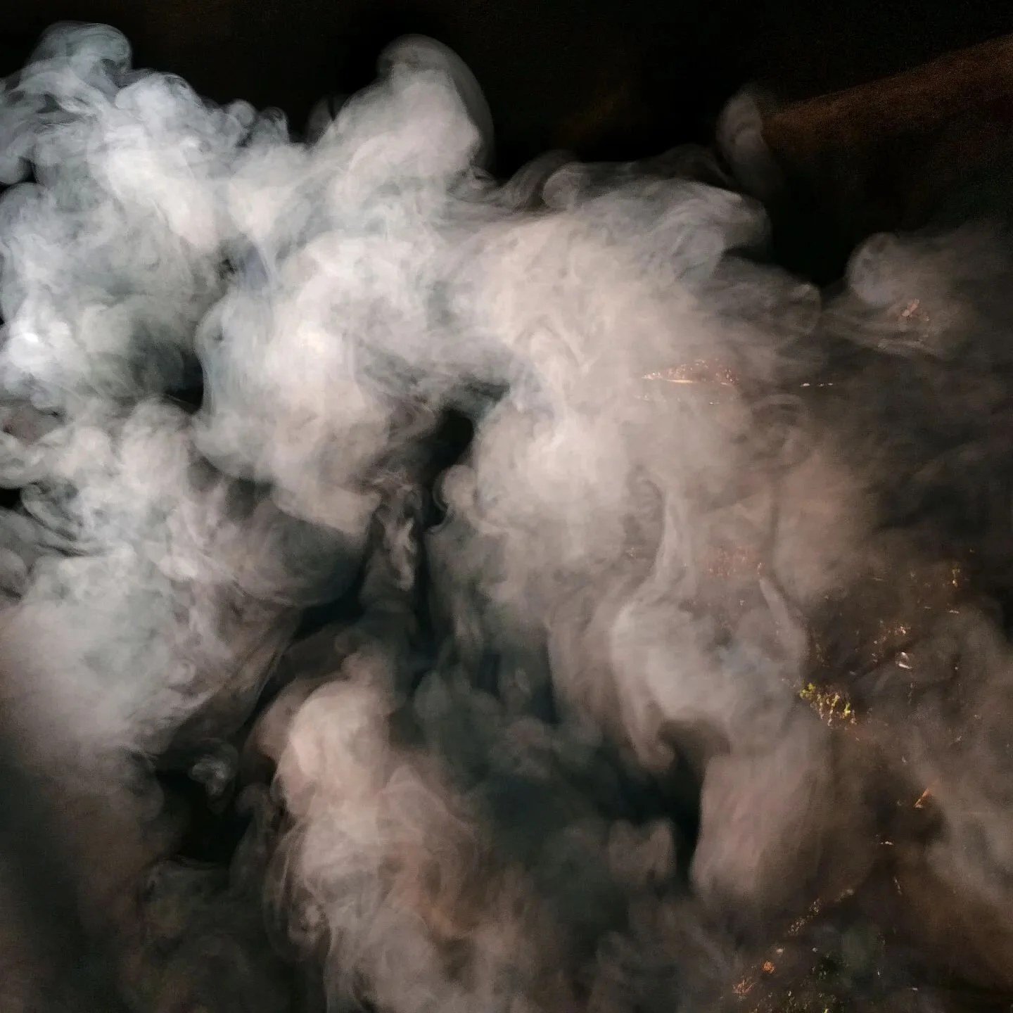 Certification — Michigan Prescribed Fire Council