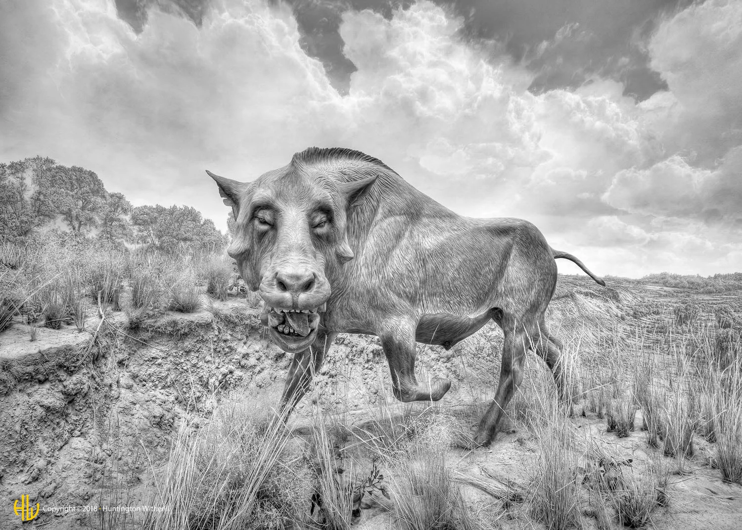 Inanimate Animals — Huntington Witherill Photography