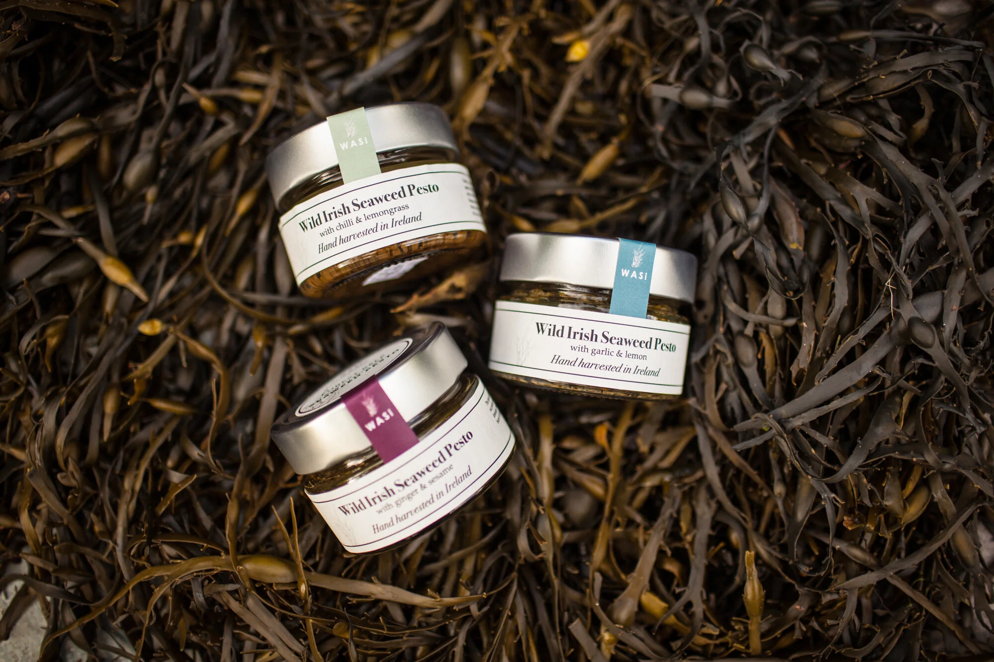 Seaweed Skincare — WASI